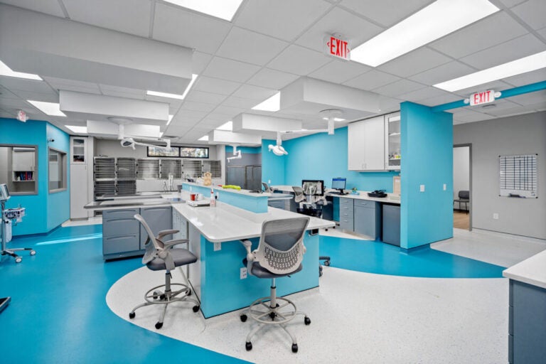 Veterinary Development 101: Location, Infrastructure, Schematic Design ...